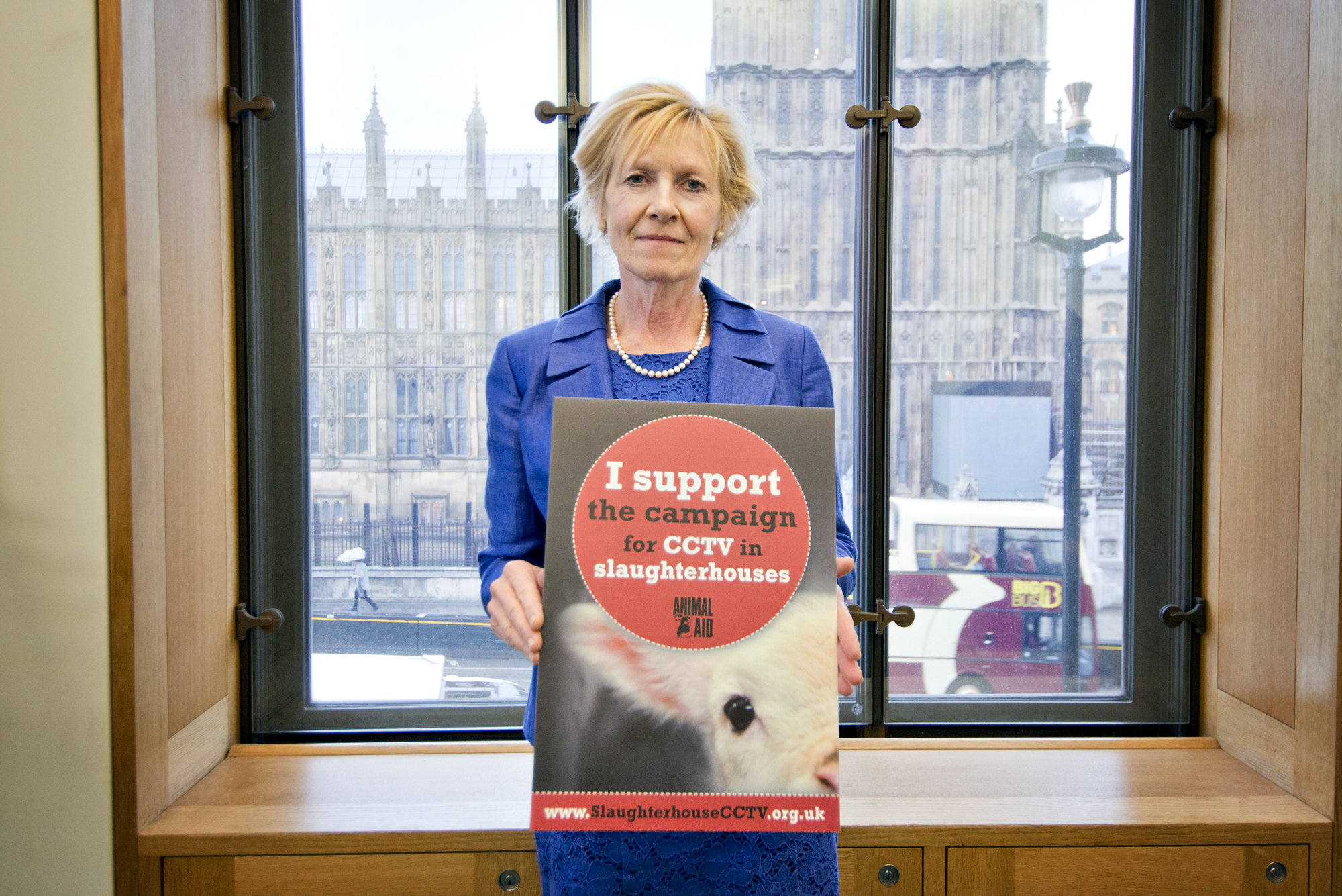 Political support | Slaughterhouse CCTV