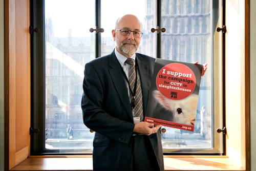 Political support | Slaughterhouse CCTV