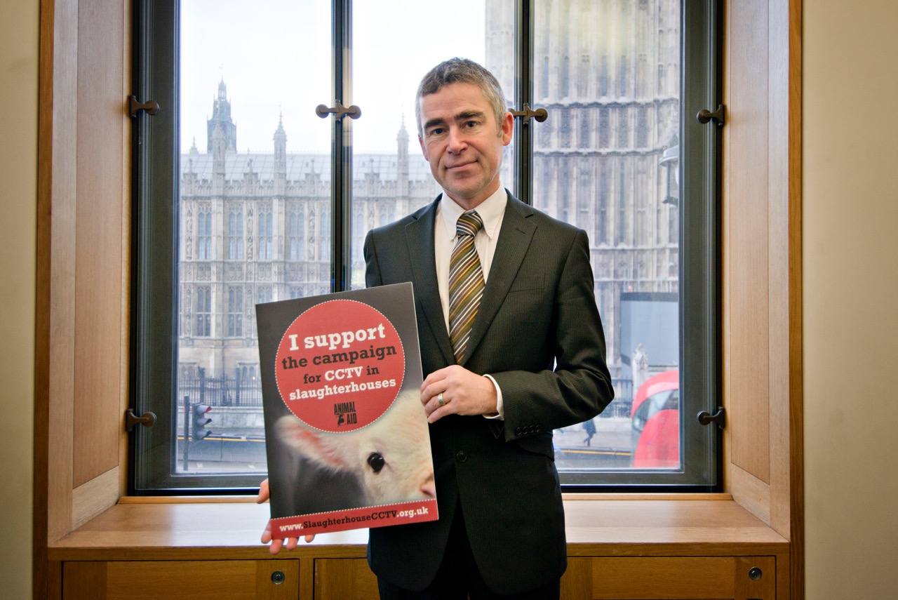 Political support | Slaughterhouse CCTV