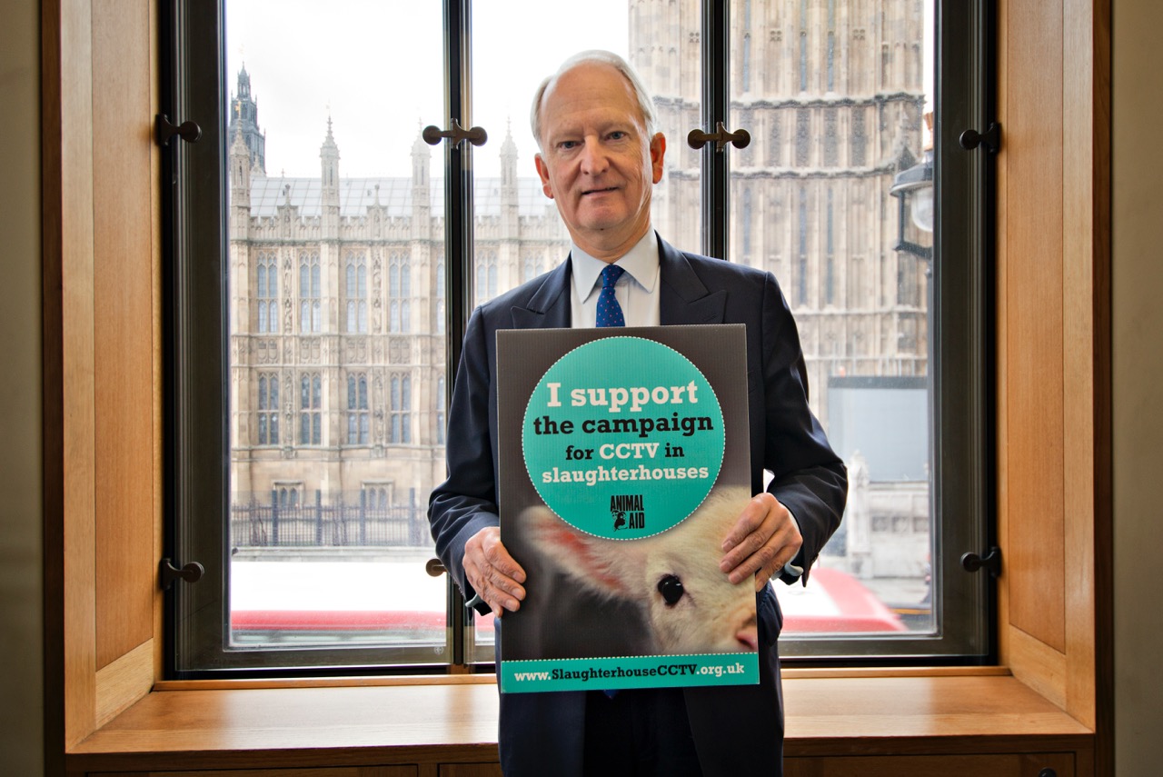 Political support | Slaughterhouse CCTV