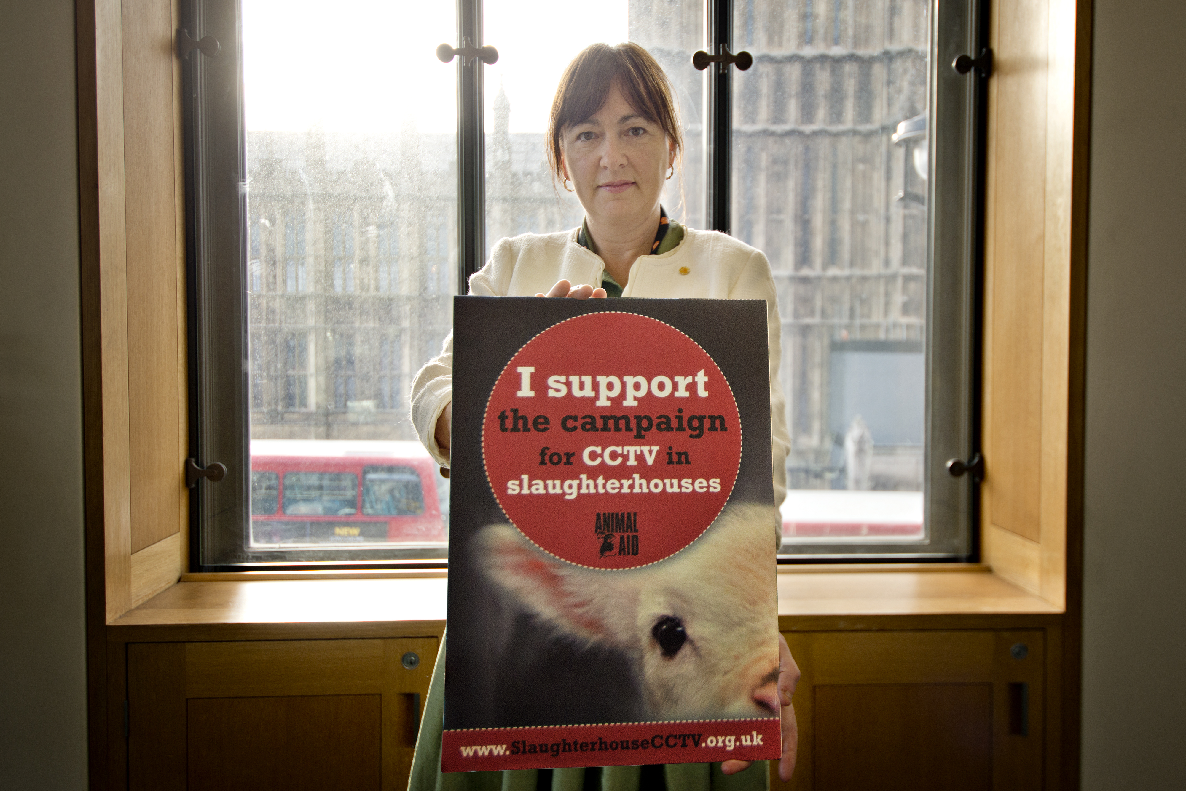 Political support | Slaughterhouse CCTV