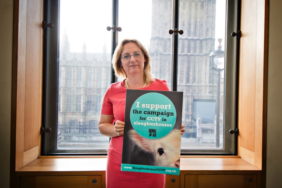 Political support | Slaughterhouse CCTV